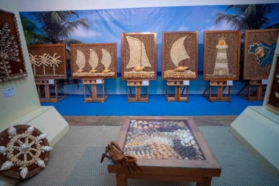 Mostra Conchas Preciosas encerra temporada com público de quase 5 mil ...